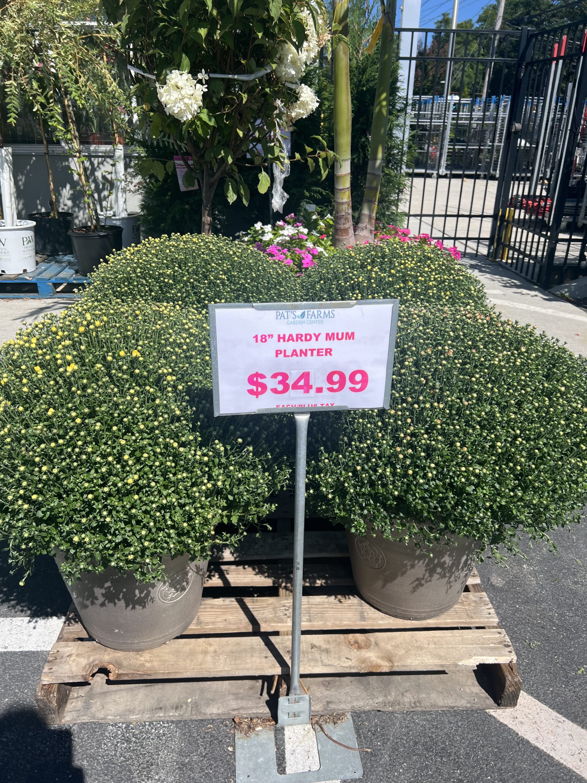 Pats Farms Garden Center